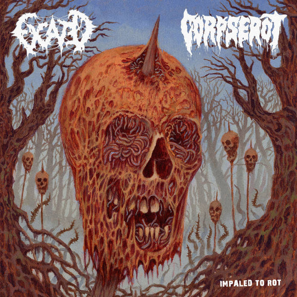 Corpserot / Excaved "Impaled To Rot" Split 7" – Night Terrors Records