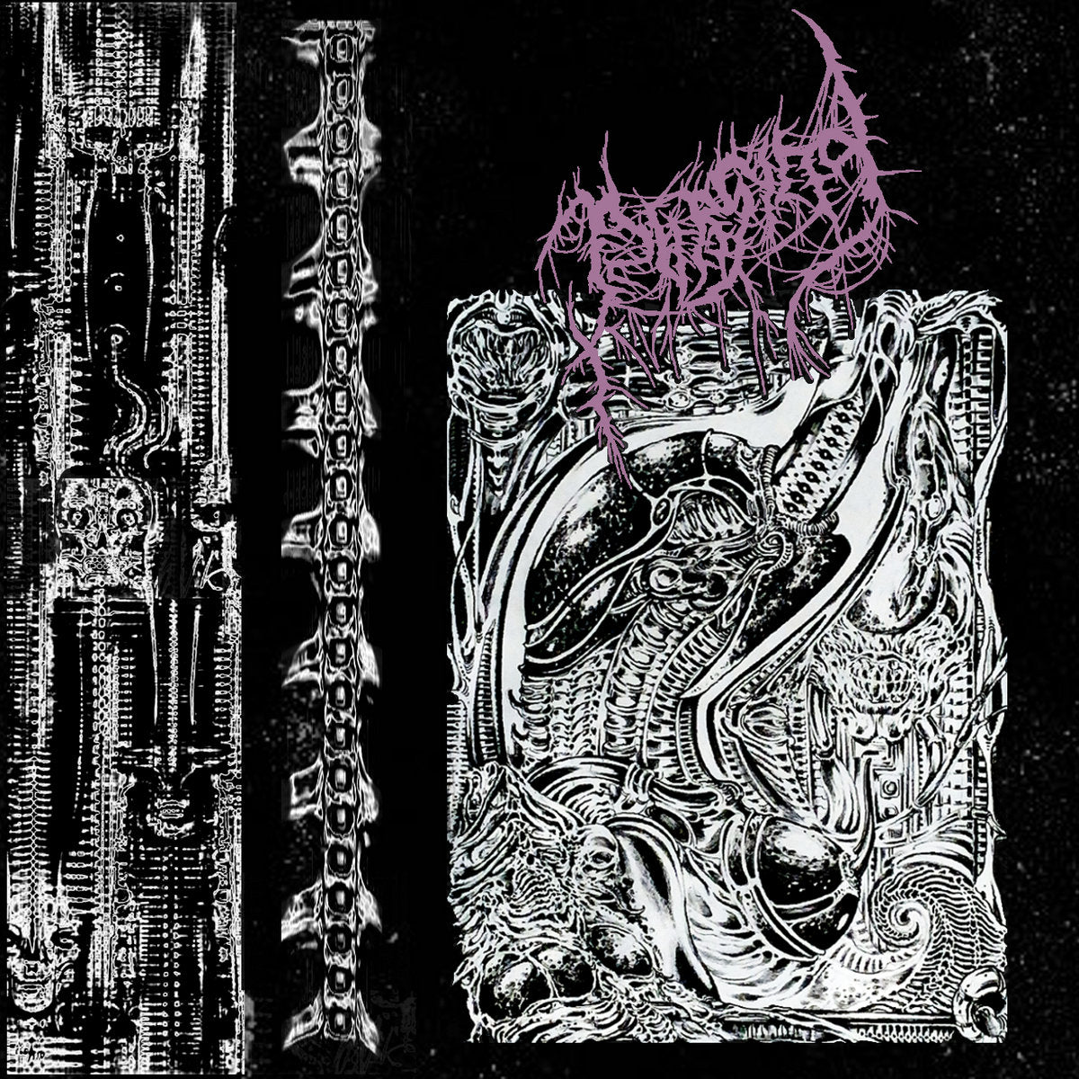 Purging "Purging" TAPE – Night Terrors Records